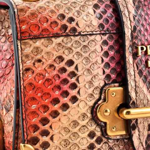 Prada Cahier Crossbody Bag Python Small Multicolor 2468776