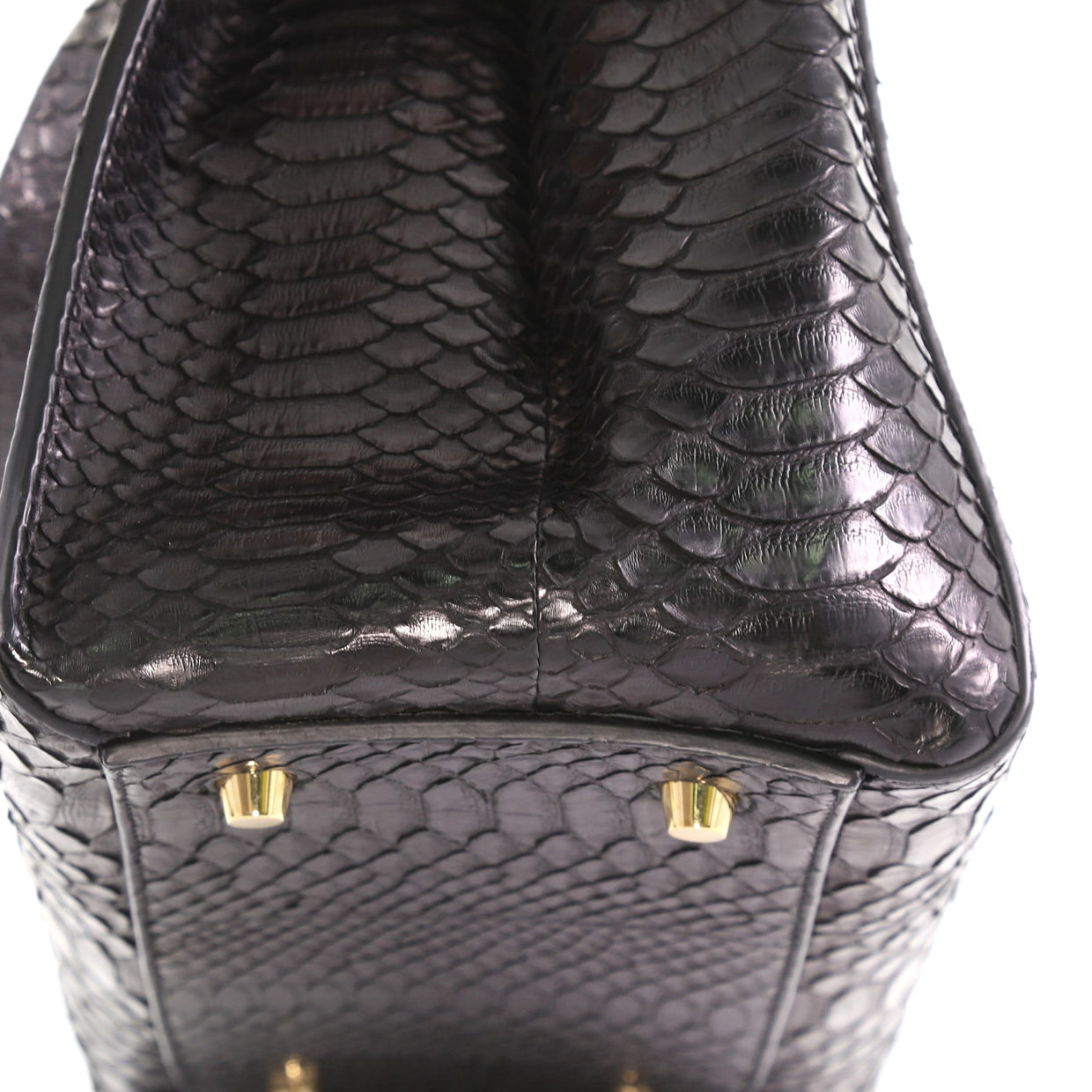 Buy Celine Edge Bag Python Medium Black 3769031